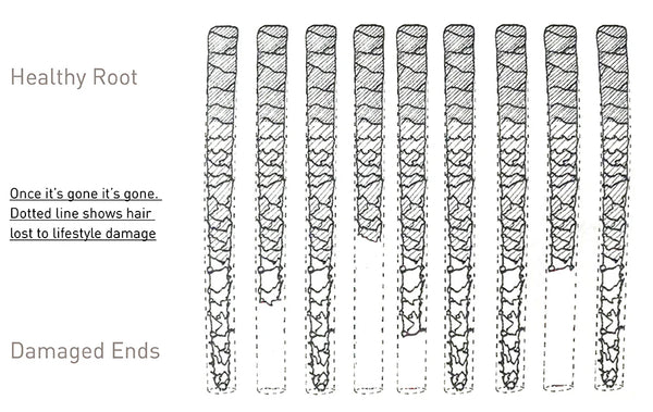 Hair Loss - Semantics and Misunderstandings - Michael Van Clarke